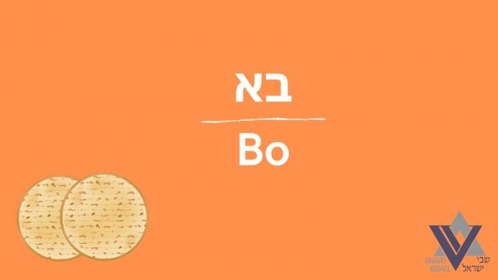 PARSHAT BO - Shavei Israel