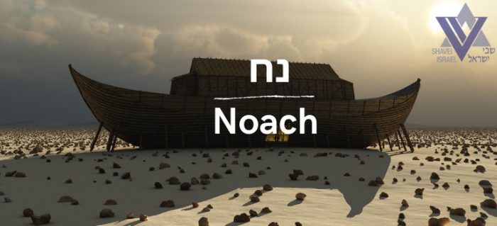 Parshat Noach - Shavei Israel